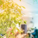 Karriere in der Invia Group Deutschland | Invia Group Germany